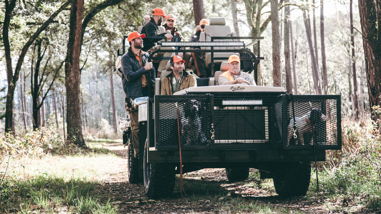 The Big Buggy – Bird Buggy