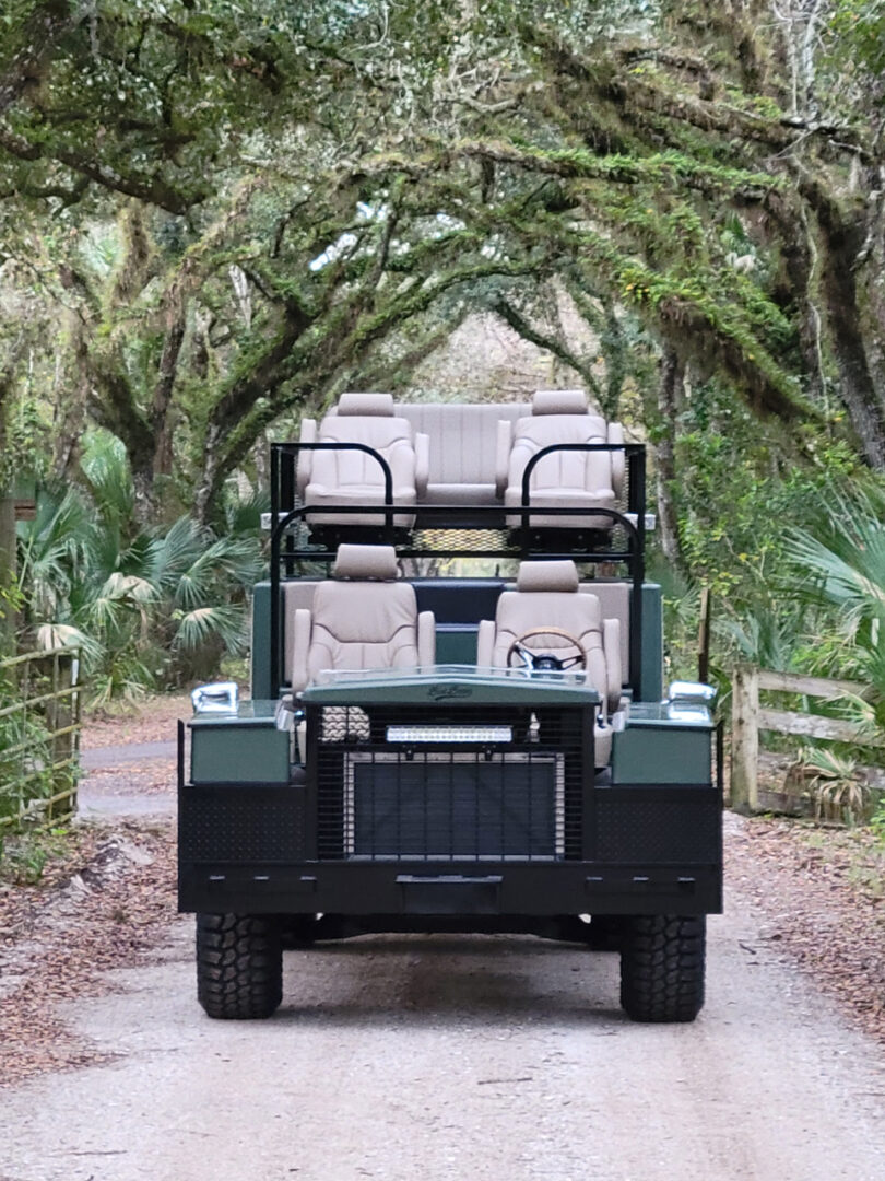 The Big Buggy – Bird Buggy