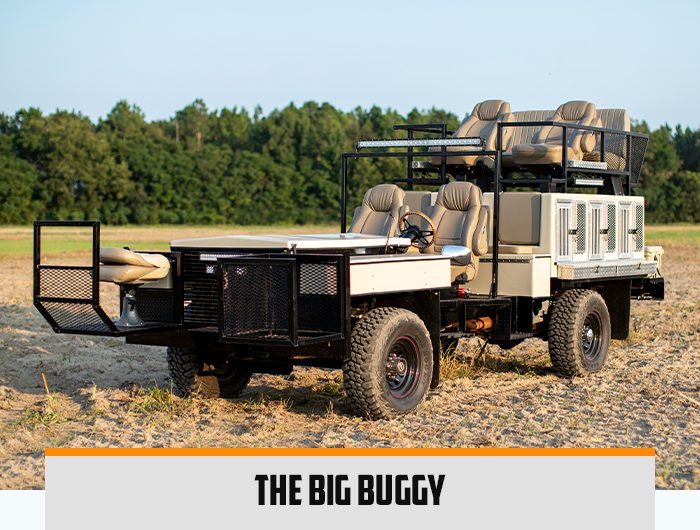 The Buggies – Bird Buggy