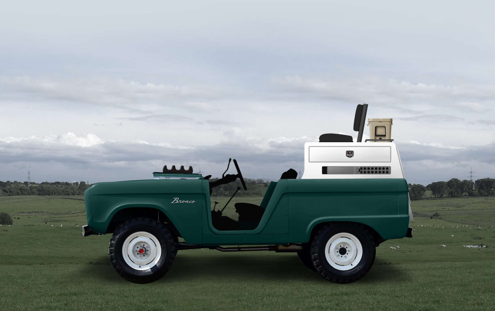 Media – Bird Buggy